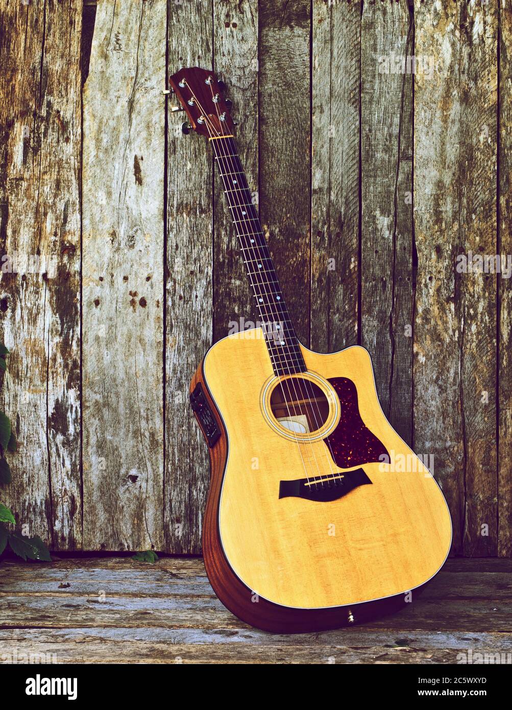 Musical Instrument High Resolution Stock Photography and Images - Alamy