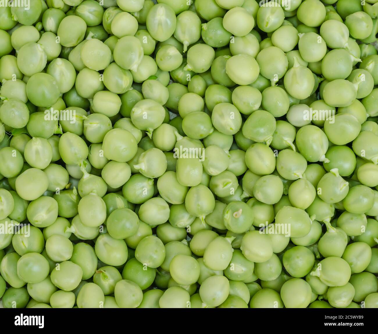 Green Peas background texture vegetable. Harvest in the garden Stock ...