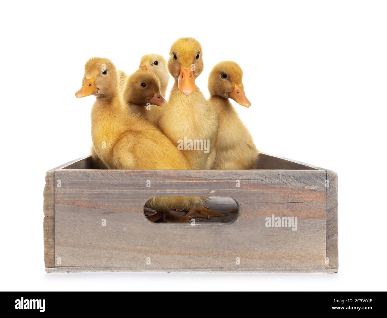 Lookingtowards hi-res stock photography and images - Alamy