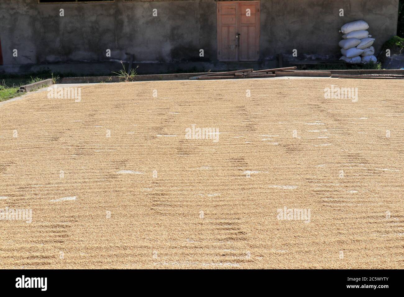 Drying Out Rice High Resolution Stock Photography and Images - Alamy