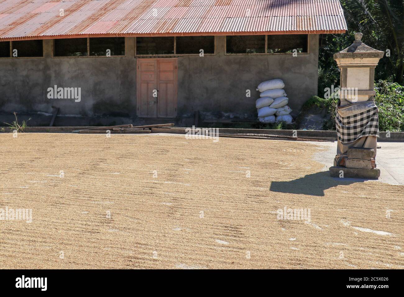 Drying Out Rice High Resolution Stock Photography and Images - Alamy