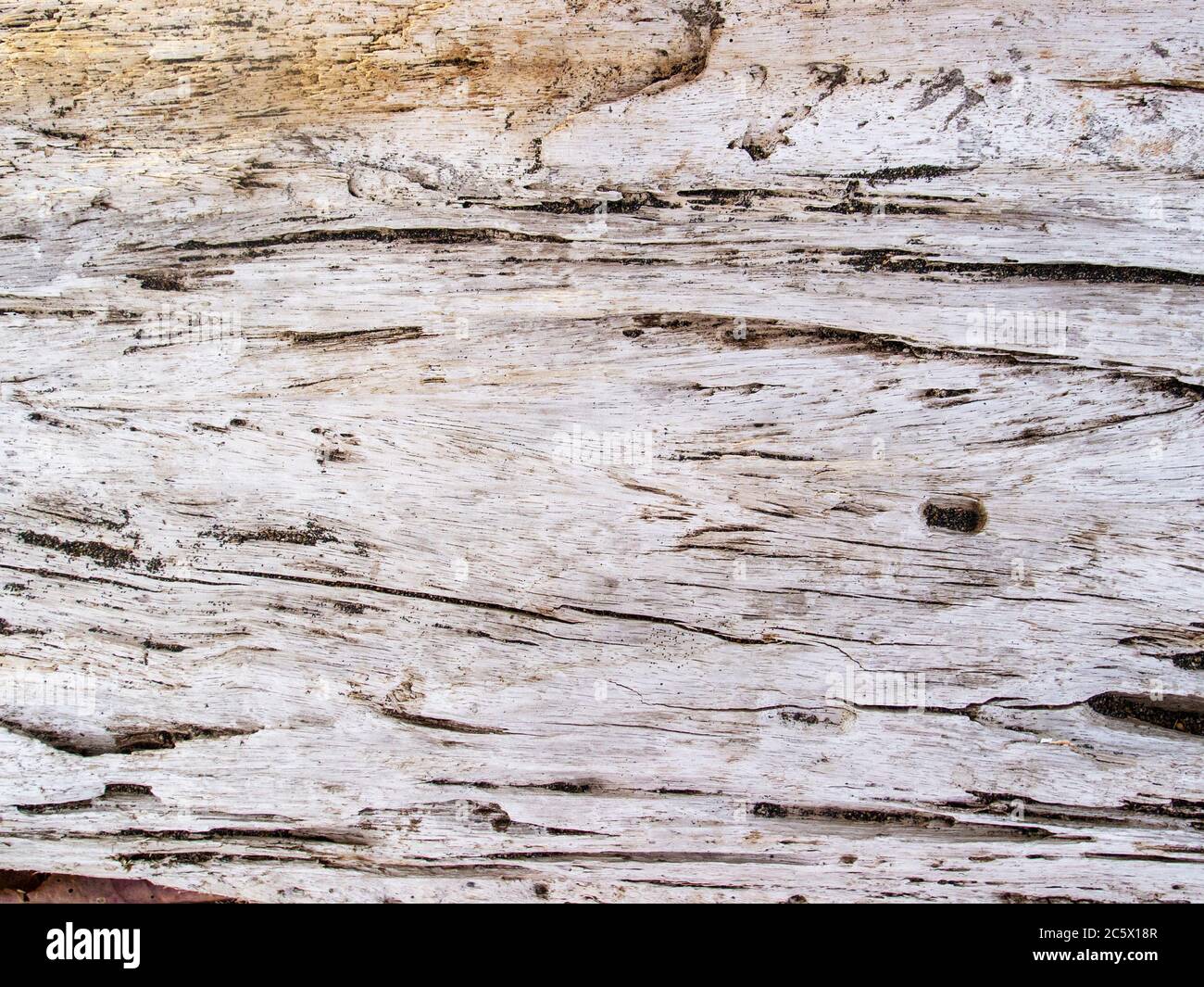 Faded wooden texture closeup. Raw timber with grungy cracks. Natural ...