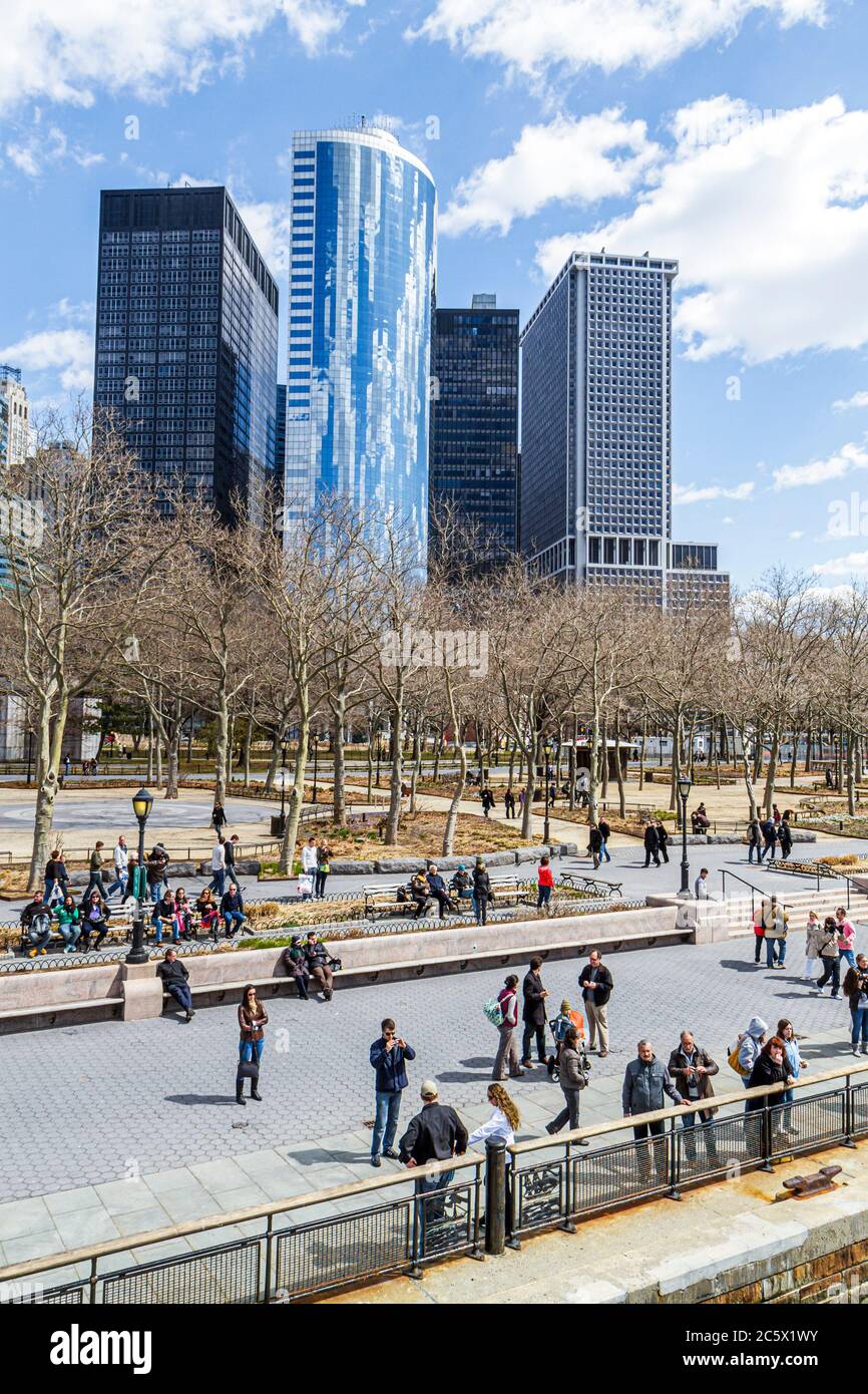 High rise skyscraper skyscrapers building buildings leafless tree hi ...