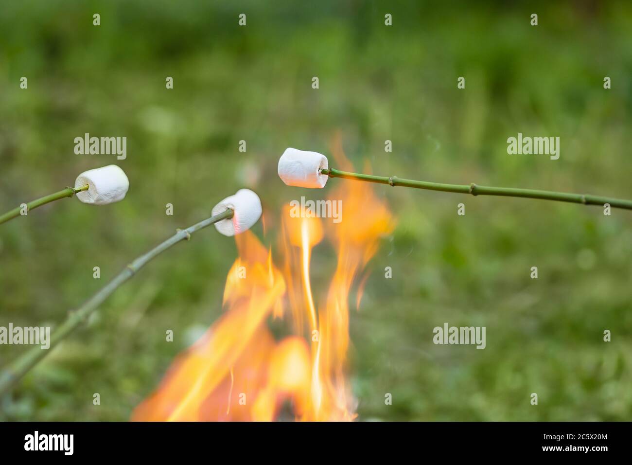 Fire roasted marshmallow hi-res stock photography and images - Alamy