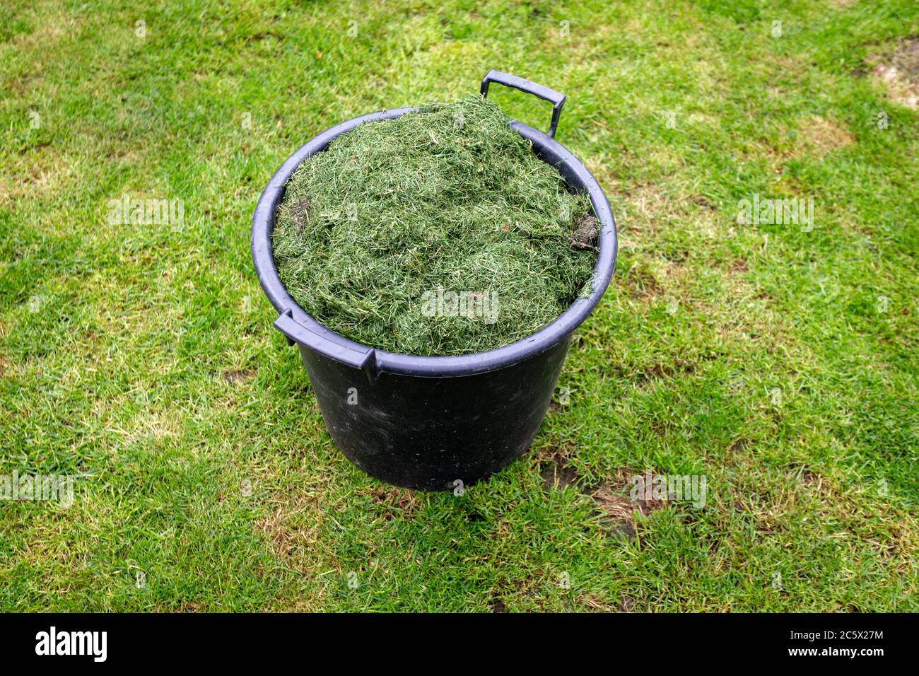 Bucket of grass cuttings on a lawn Stock Photo - Alamy