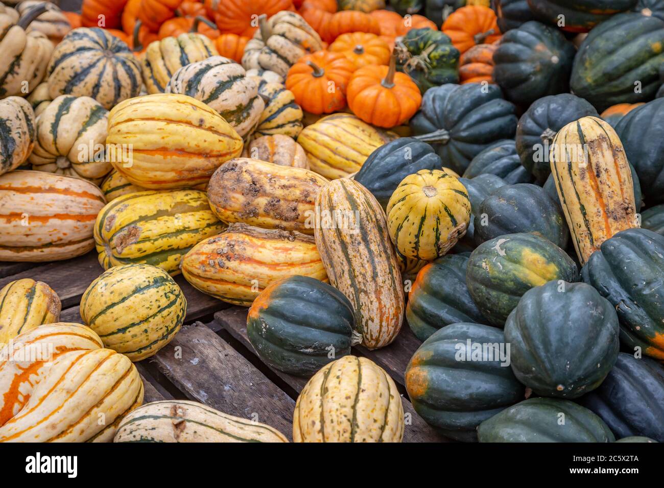 Sale stall with squash hi-res stock photography and images - Alamy