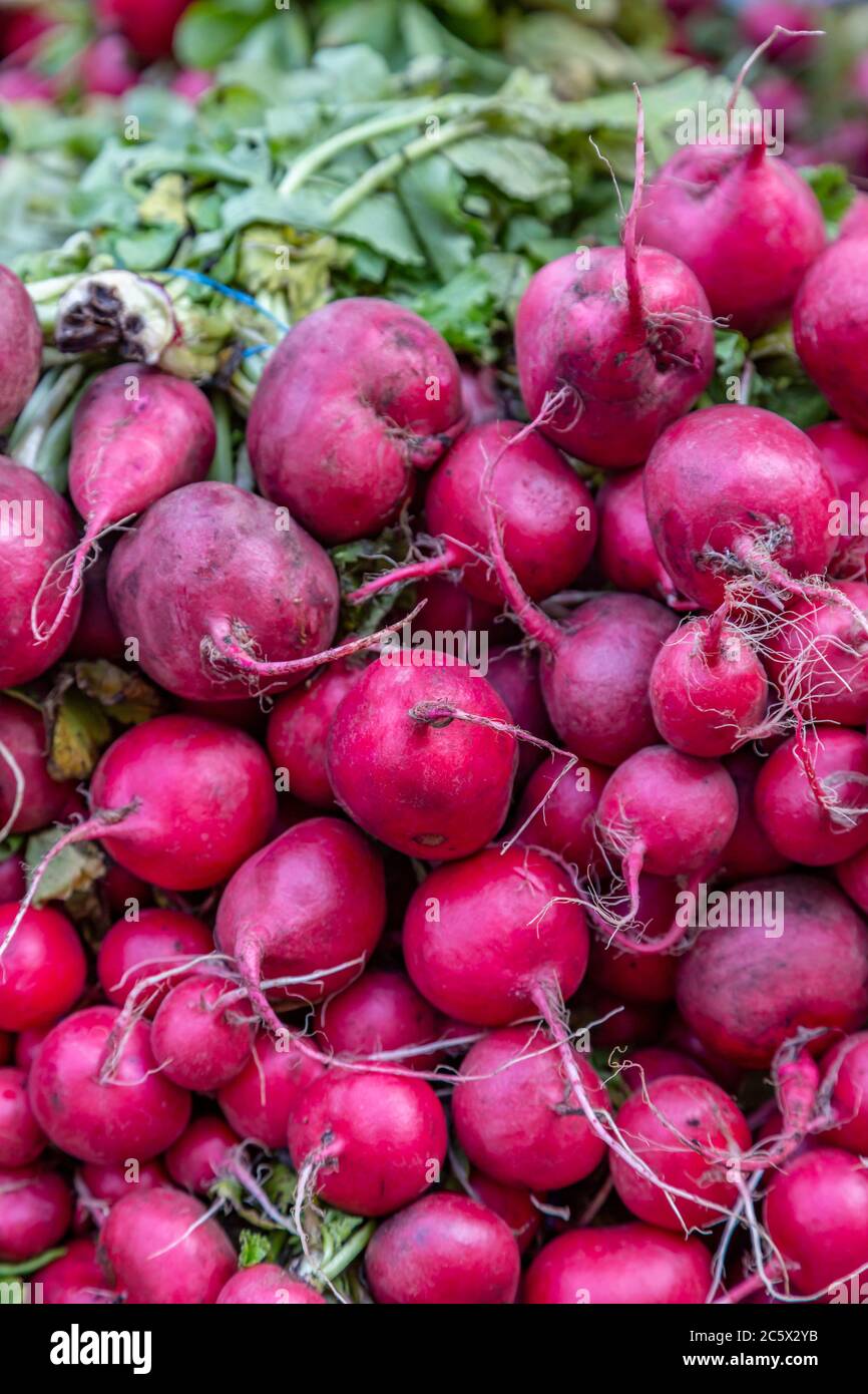 Bunches of radishes for sale on a market stall Stock Photo - Alamy