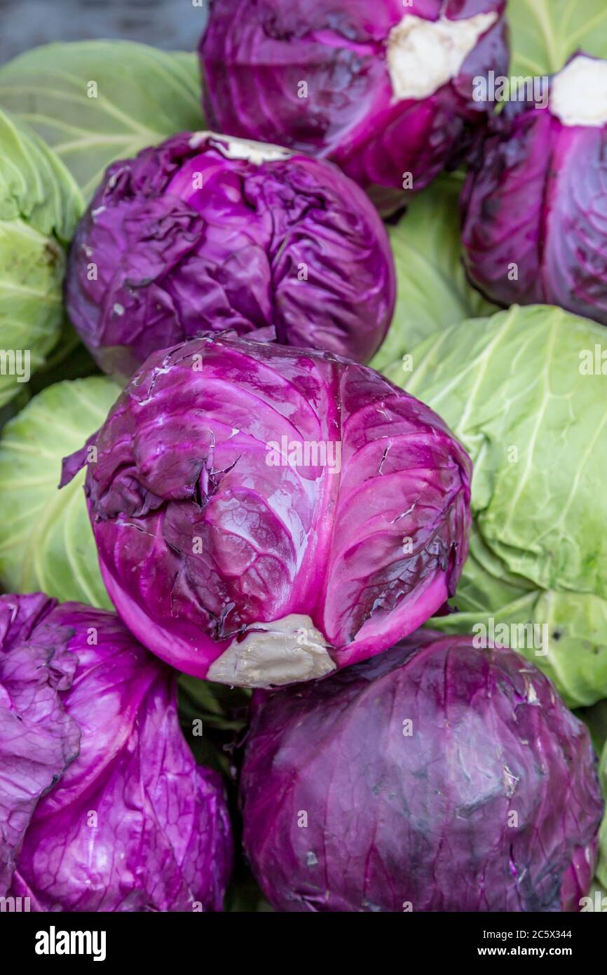 A Selection of Mixed Cabbages For Sale on a Market Stall Stock Photo ...