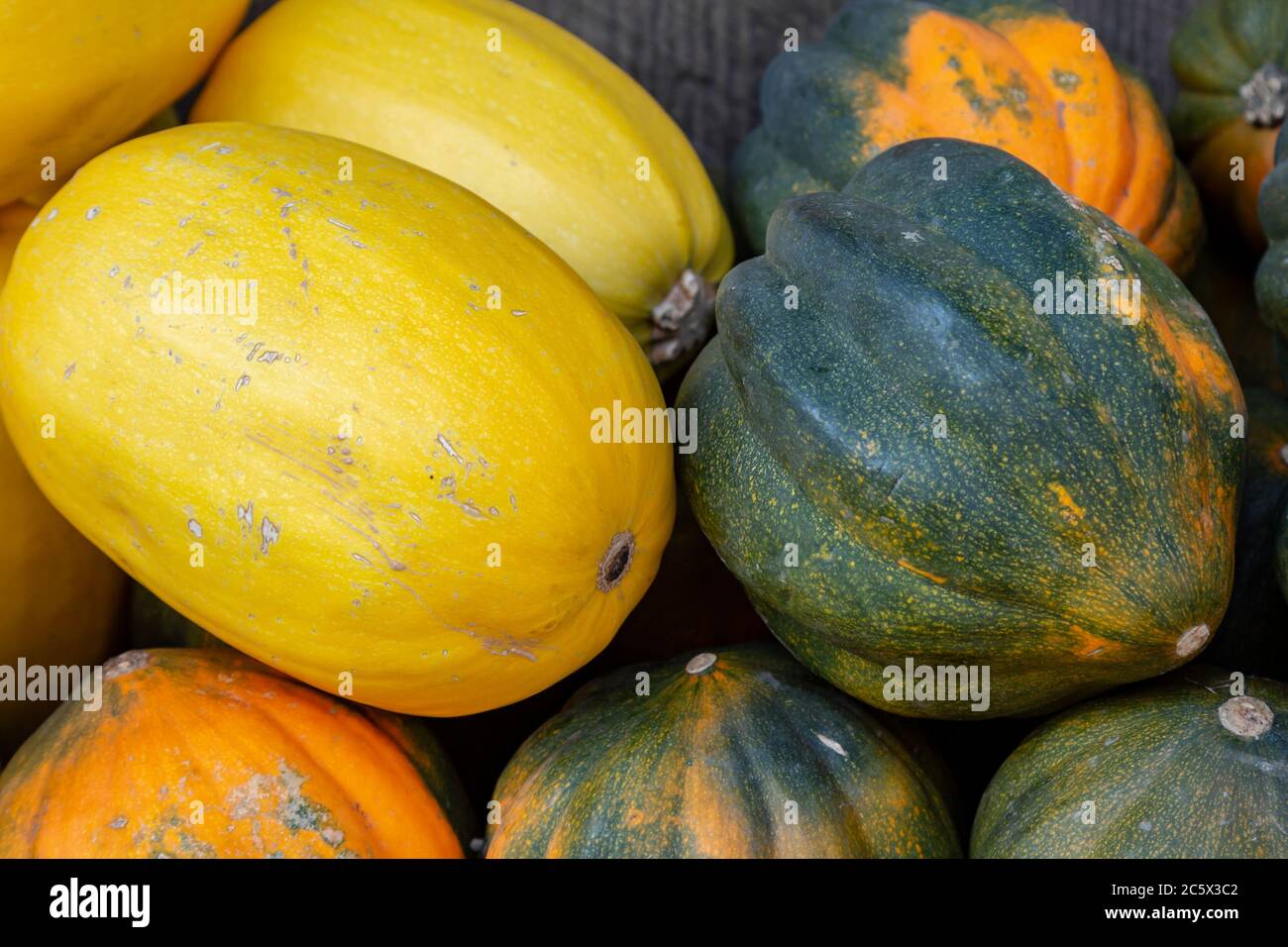 Colorful melons on a market stall Stock Photo - Alamy