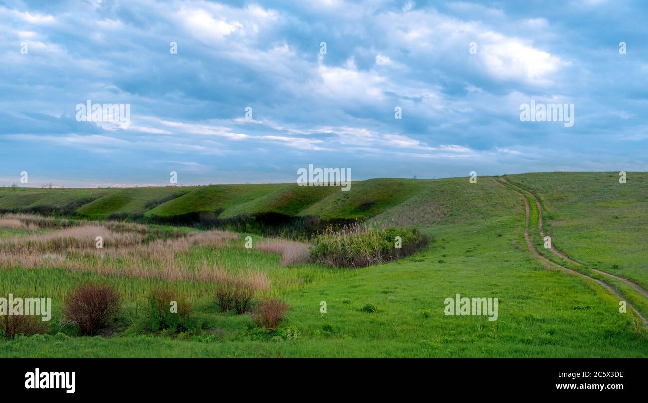 Green Rolling Hills