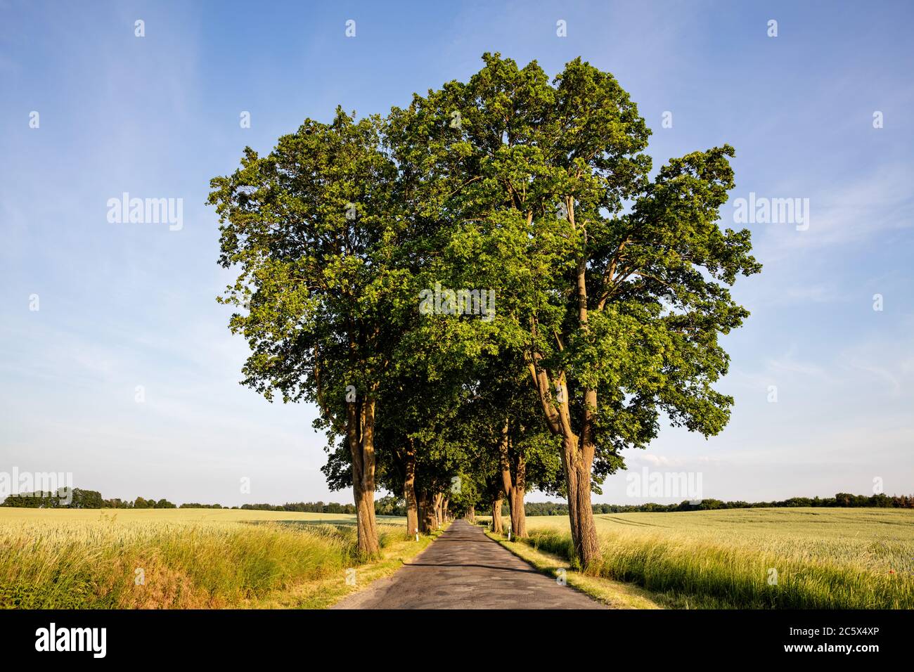 German scenic route hi-res stock photography and images - Alamy
