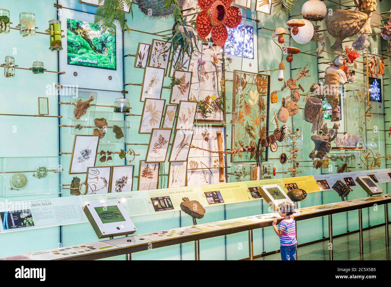 New York,New York City,NY NYC,Manhattan,Uptown,Central Park West ...