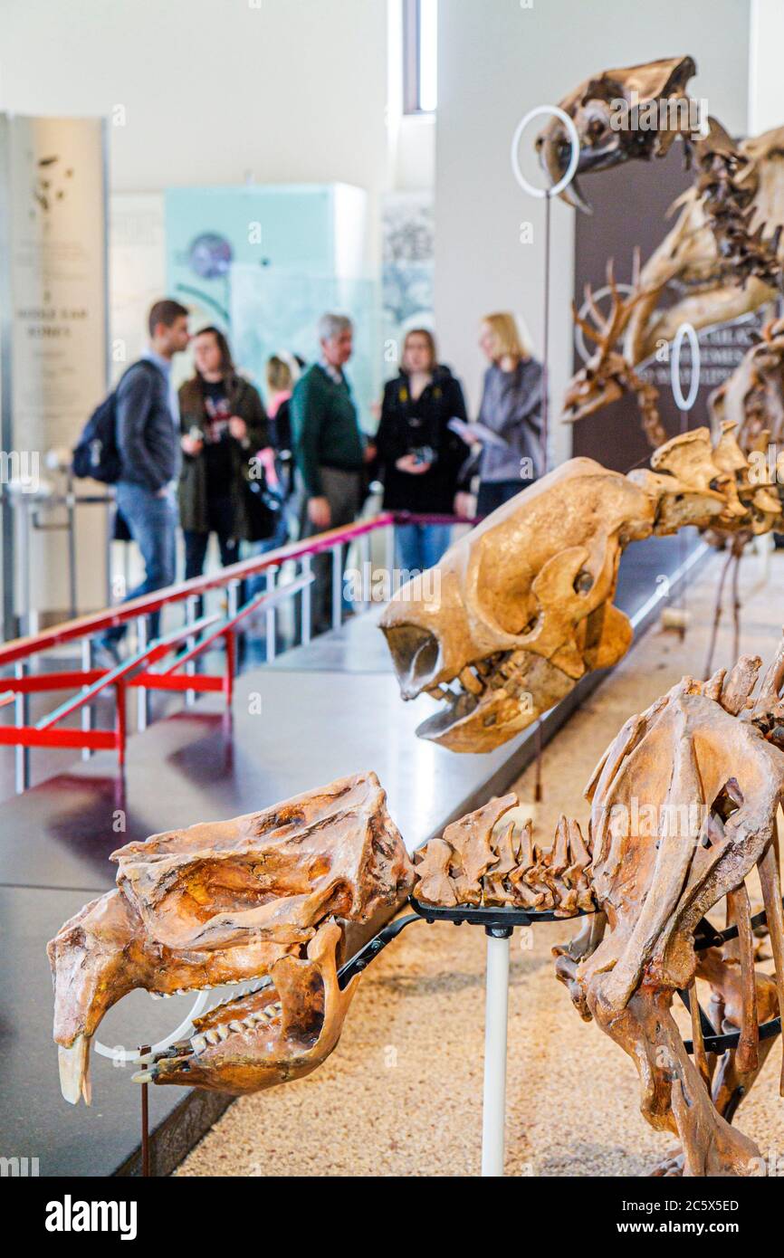 New York,New York City,NYC,Manhattan,Uptown,Central Park West,American ...