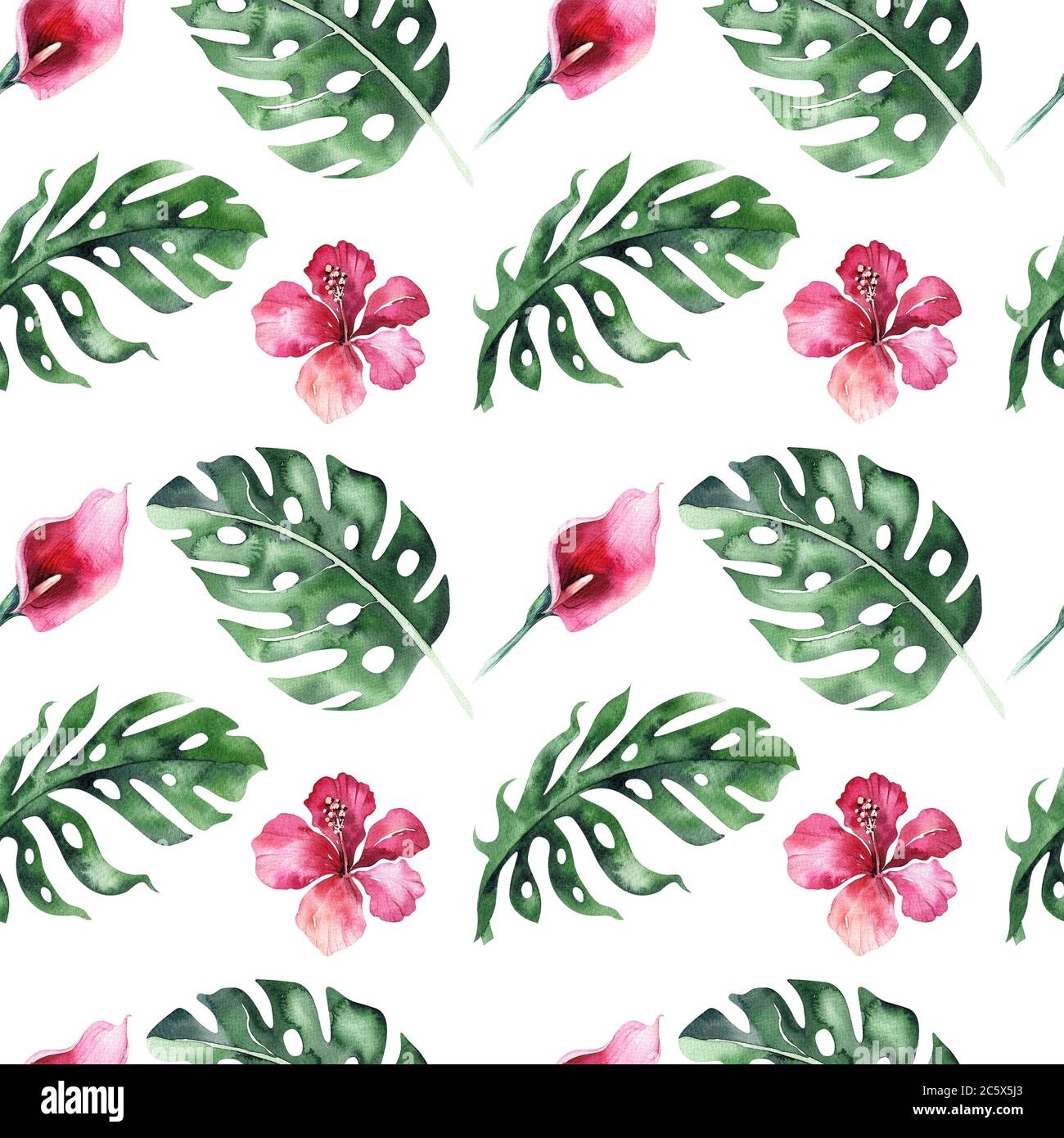Set of bright watercolor tropical monstera leaves. bouquet tropic palm ...
