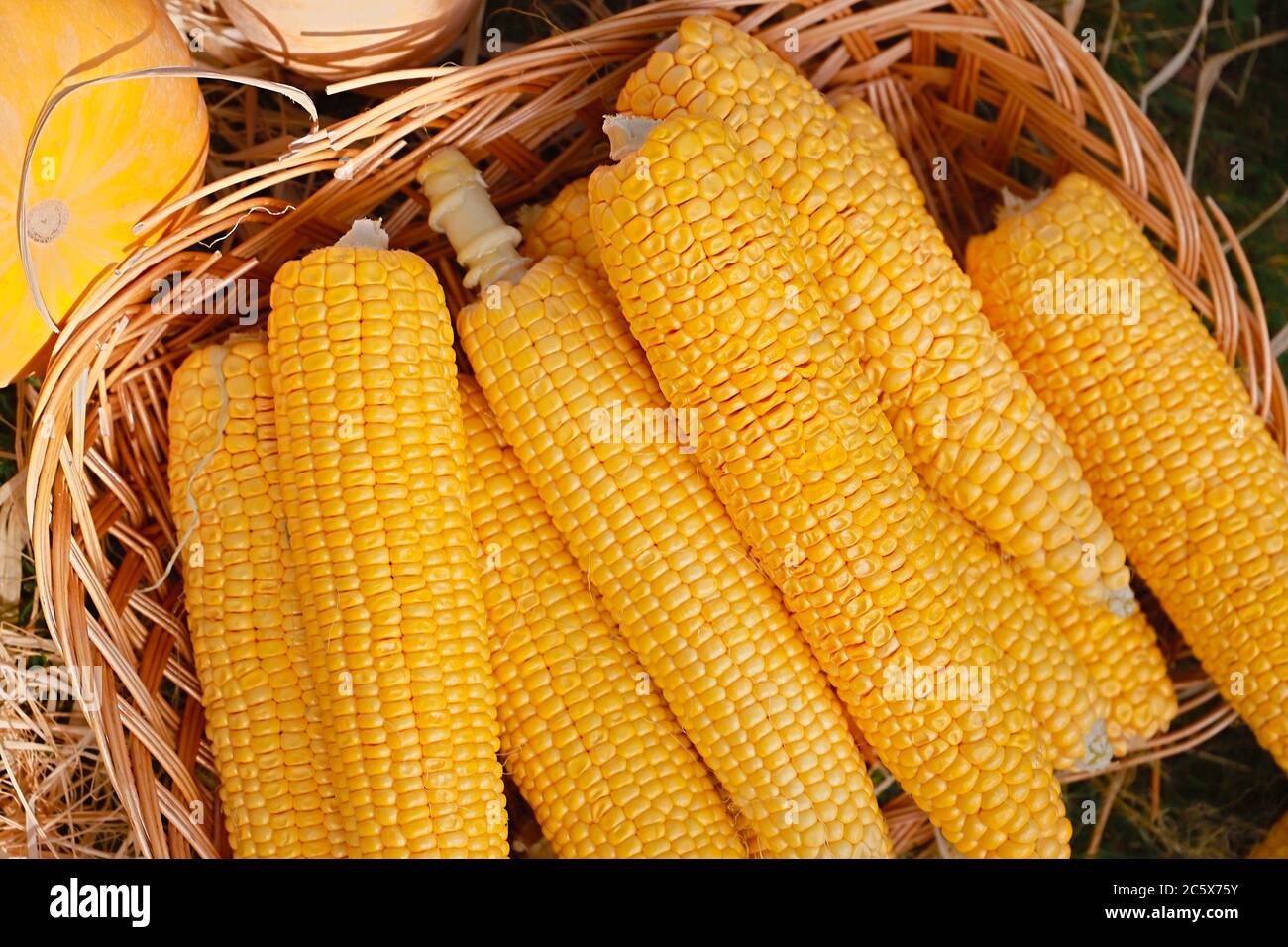 Big juicy corn in a wicker basket. Healthy nutrition Stock Photo - Alamy