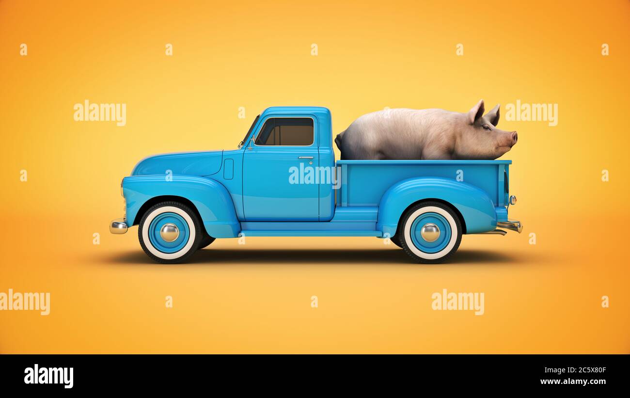 Pig in a Pickup. 3d rendering Stock Photo - Alamy
