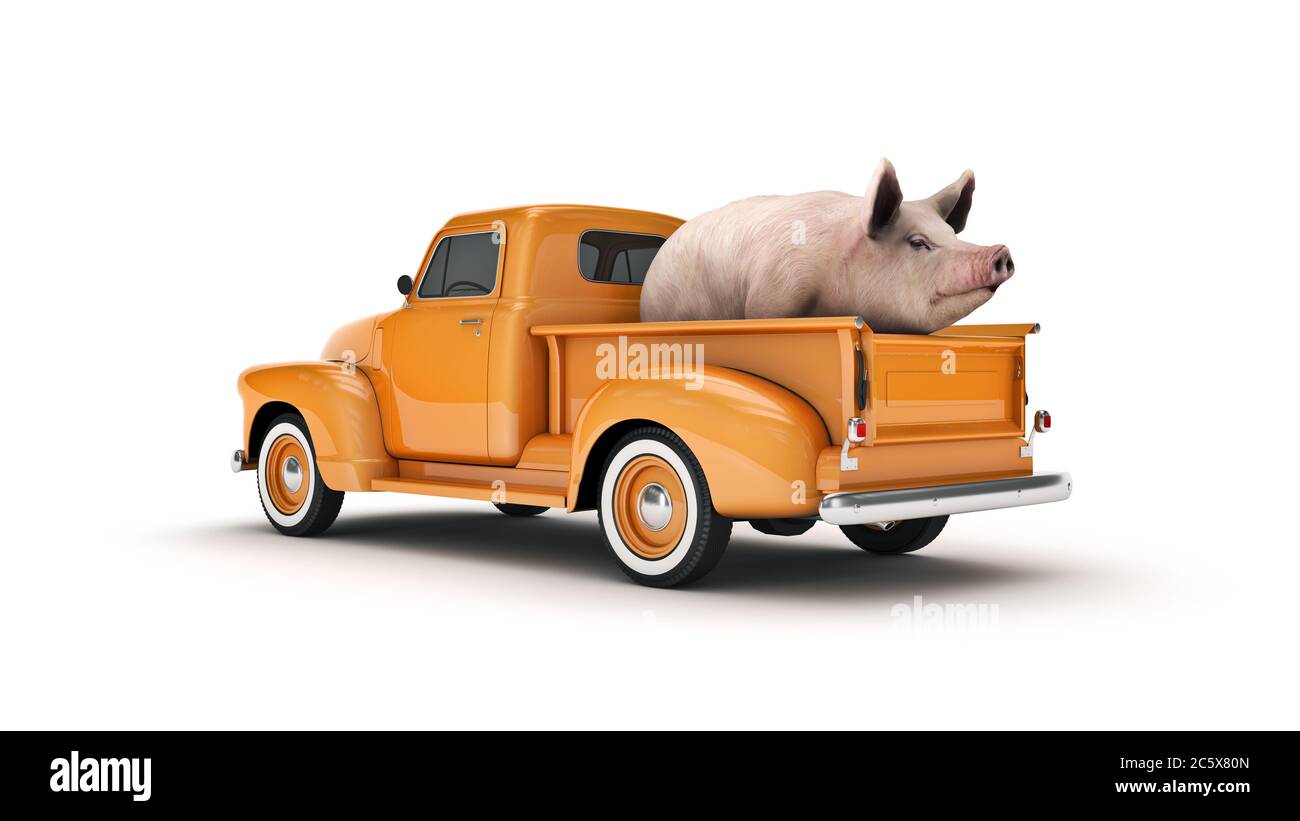 Pig transport truck Cut Out Stock Images & Pictures - Alamy