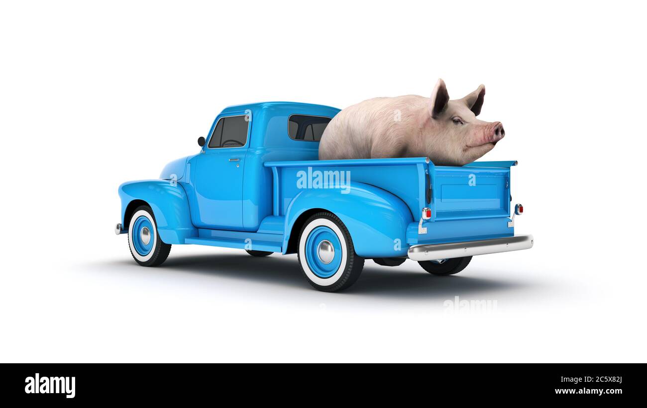 Pig in a Pickup. 3d rendering Stock Photo - Alamy