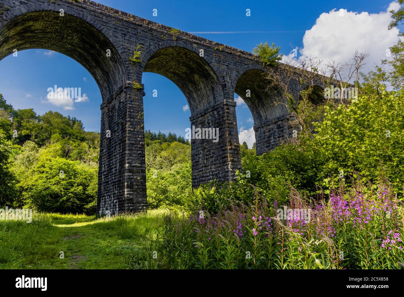 Arches underneath an old Victorian viaduct in a beautiful green rural ...