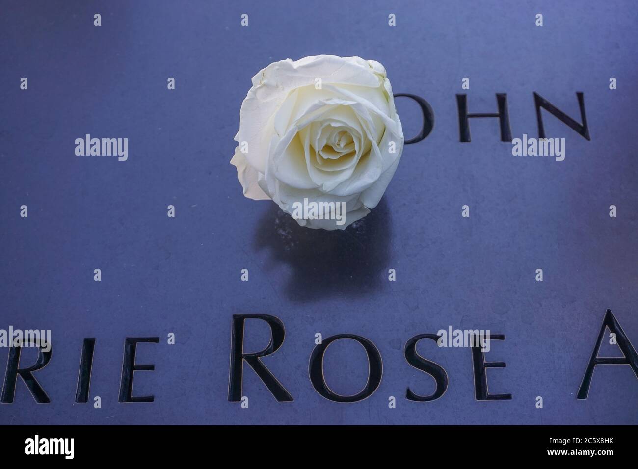 White rose memorial garden hi-res stock photography and images - Alamy