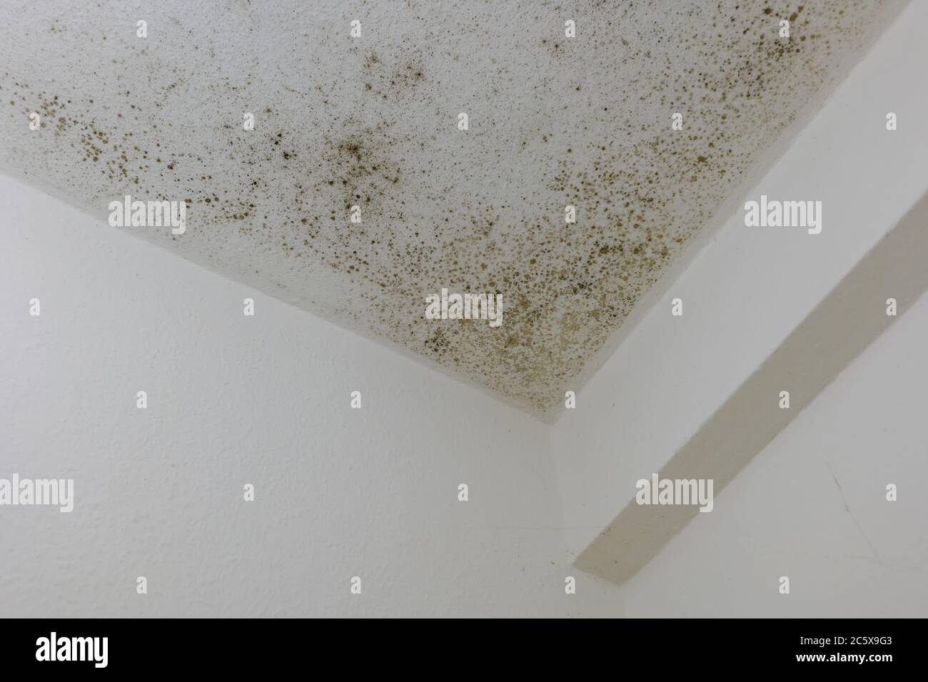 Water mark ceiling hi-res stock photography and images - Alamy