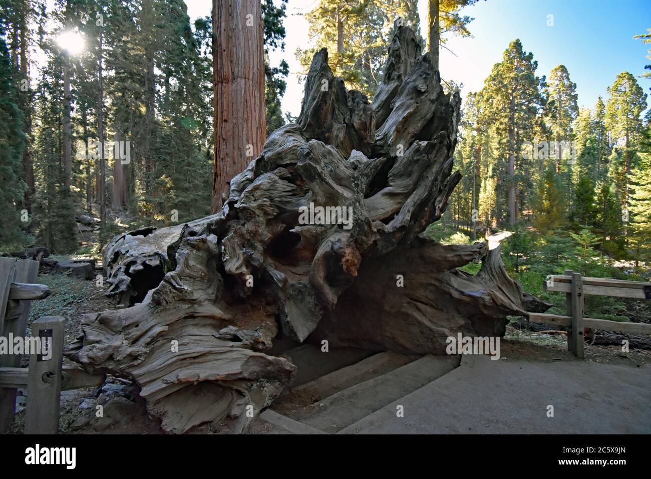 General grant grove hi-res stock photography and images - Alamy