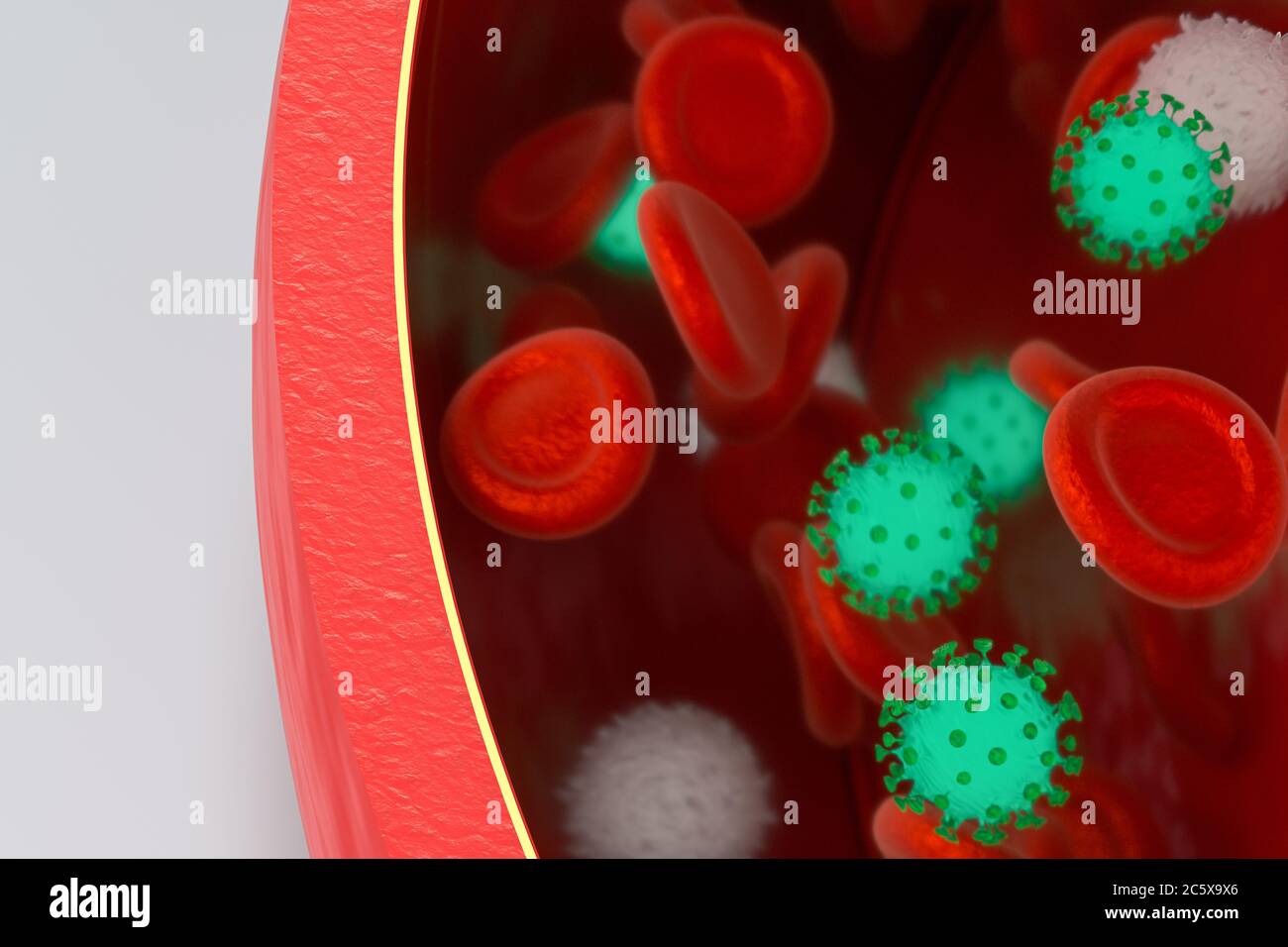 Virus in the blood vessel, with Red and white blood cells, 3d rendering ...