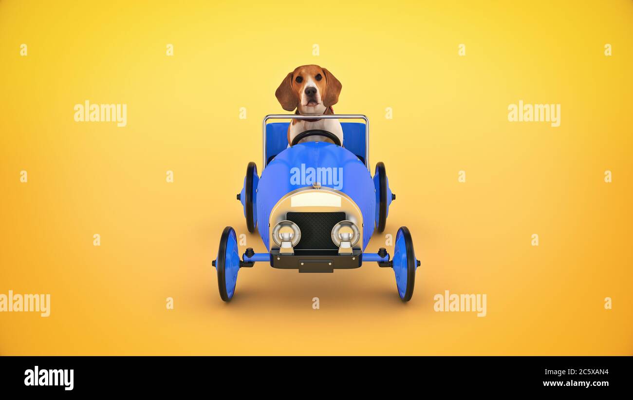 dog driving toy car. 3d rendering Stock Photo - Alamy