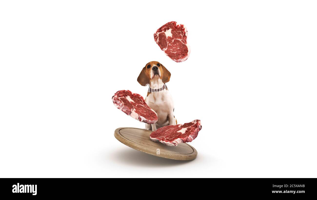 Falling raw beef meat hi-res stock photography and images - Alamy