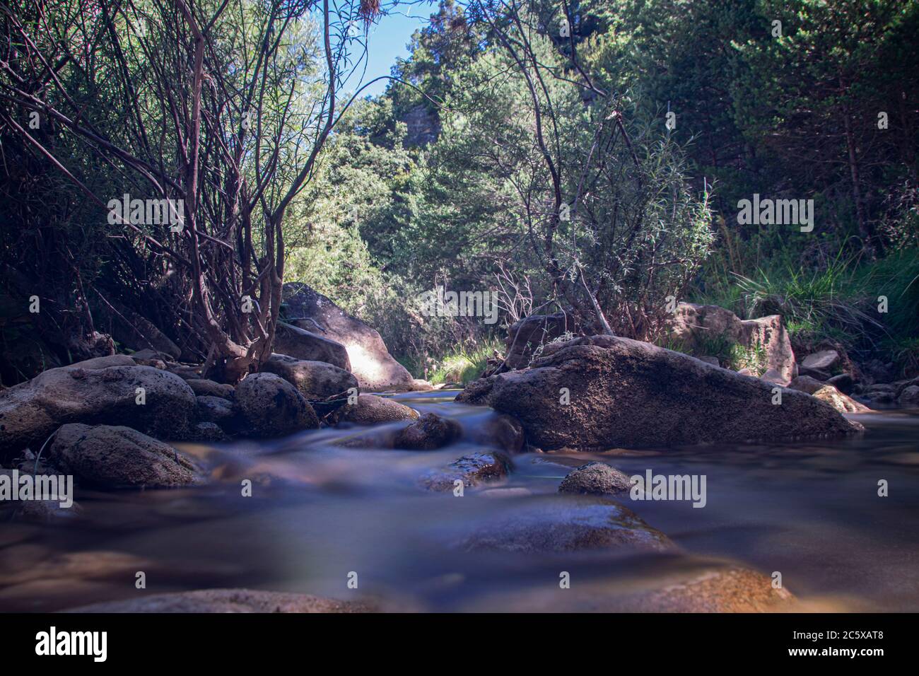 River of silky water running between rocks and trees Stock Photo - Alamy