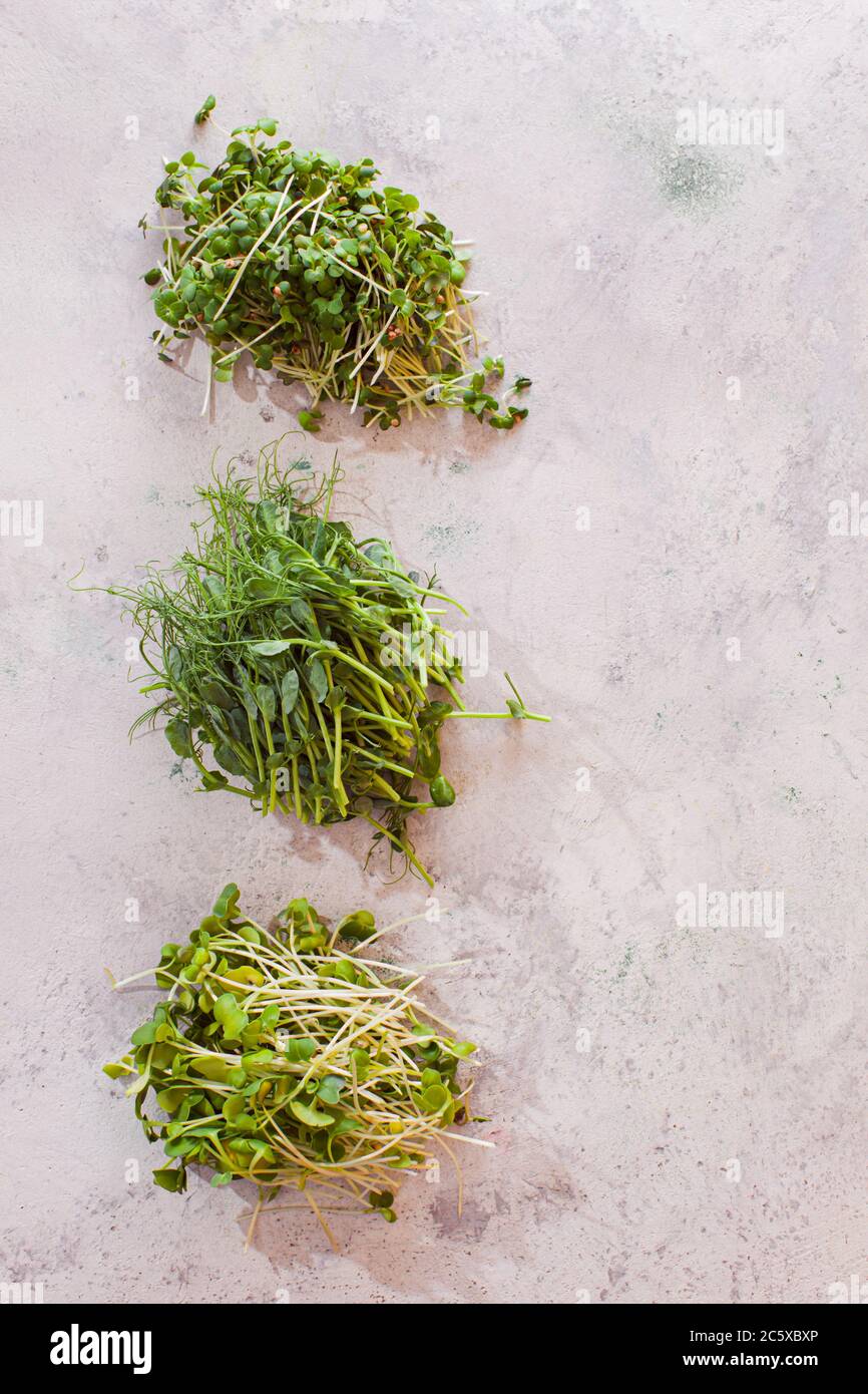 Piles of microgreens on white background. Healthy eating concept Stock ...