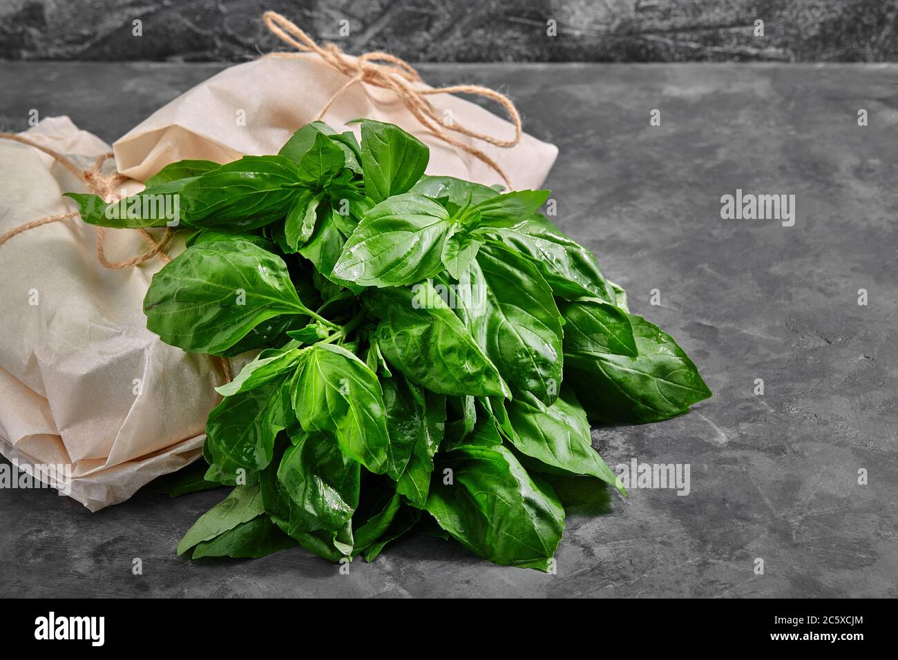 Fresh basil on a dark background. Green basil. Green basil on a dark ...