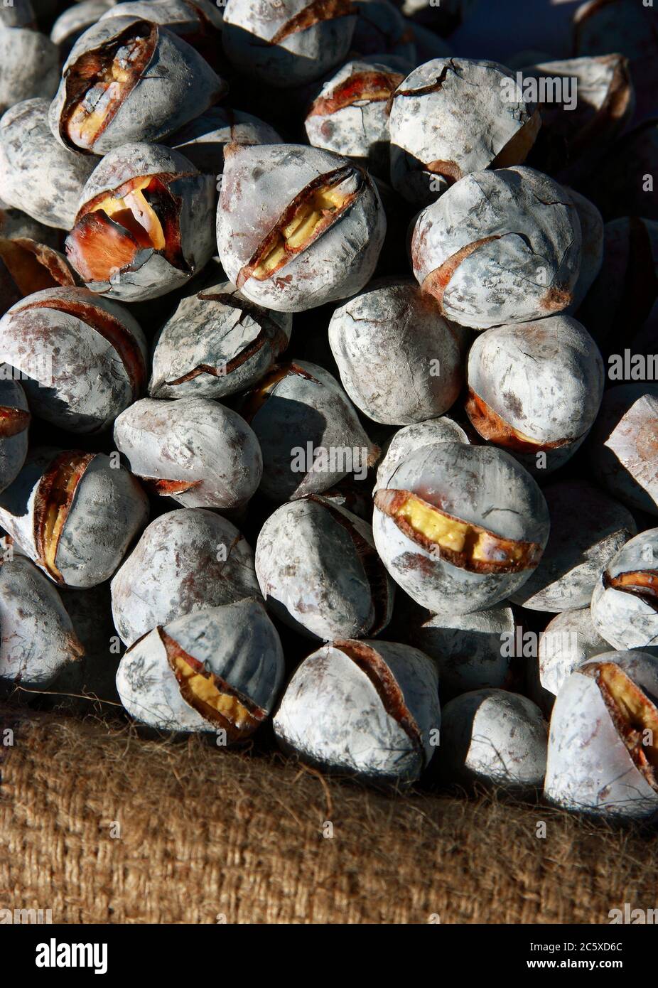Golega, Santarem, Portugal. Traditional charcoal-roasted sweet ...