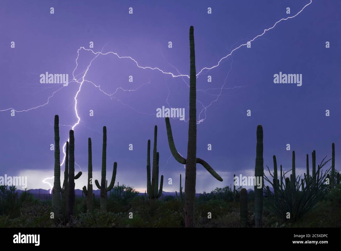 Tucson lightning hi-res stock photography and images - Alamy