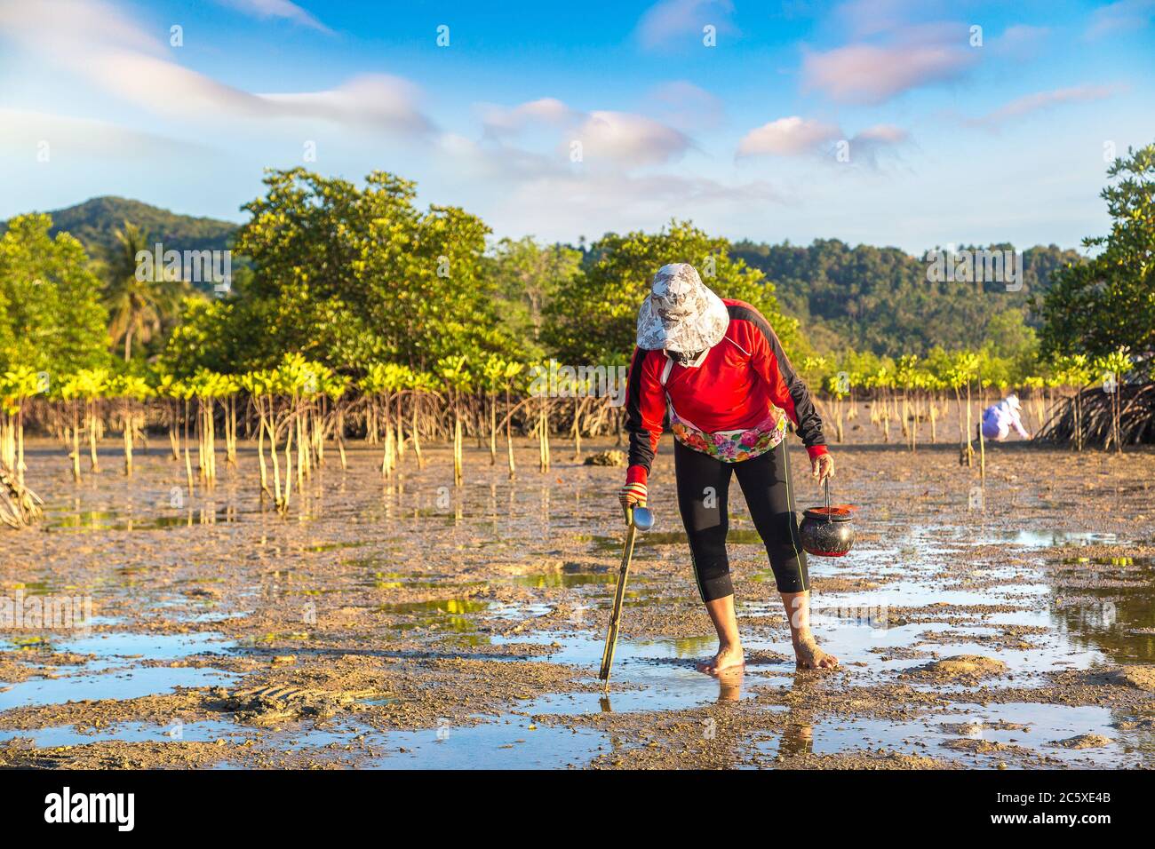 Woman Digging Clams High Resolution Stock Photography and Images - Alamy