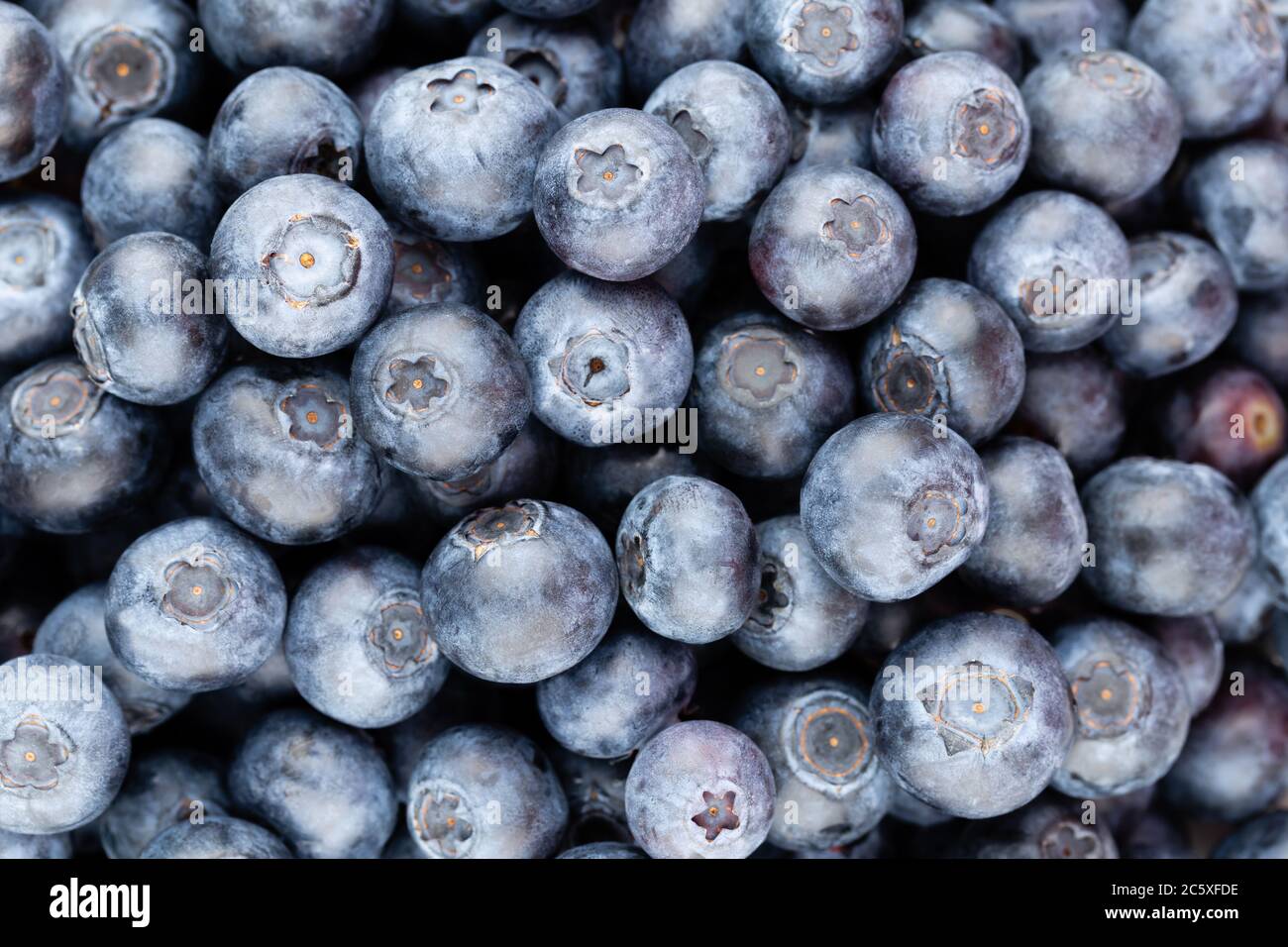 Fresh blueberries background with copy space for your text. Border ...
