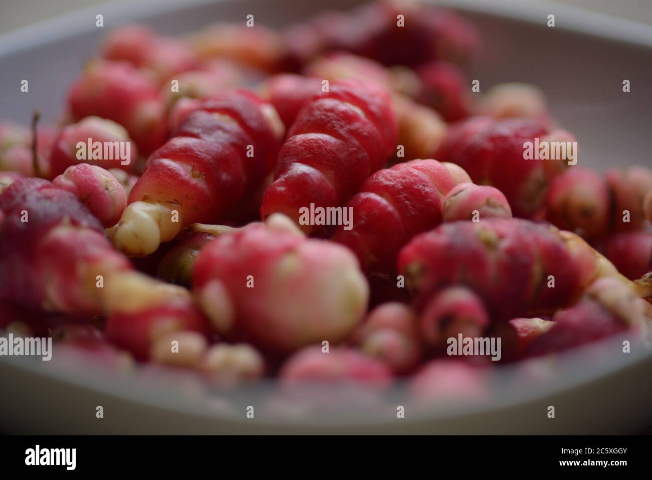 Oca oxalis tuberosa hi-res stock photography and images - Alamy