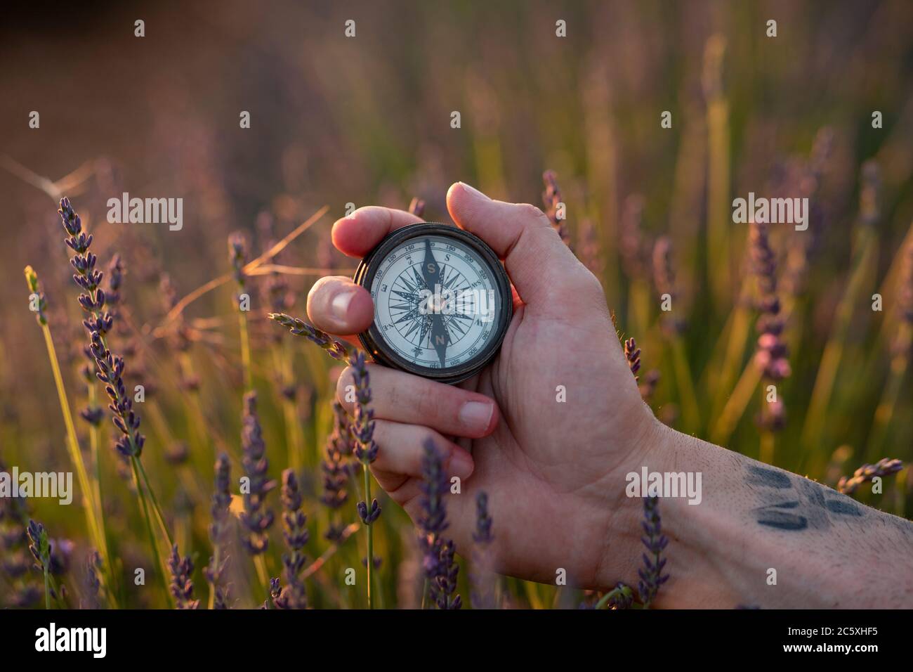 Poppy field with red arrow hi-res stock photography and images - Alamy