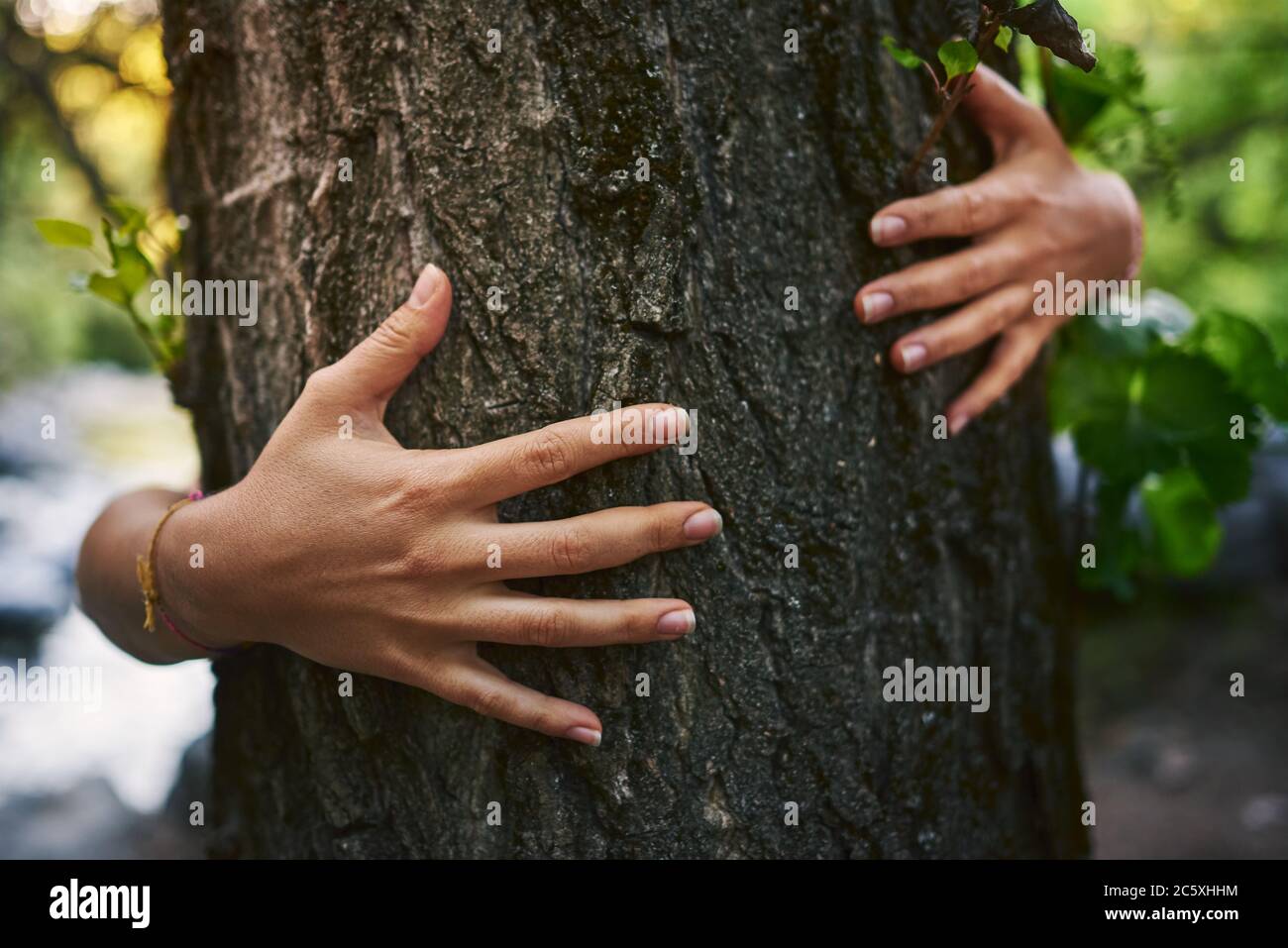 Hands girl and a woman, touching tree hi-res stock photography and ...