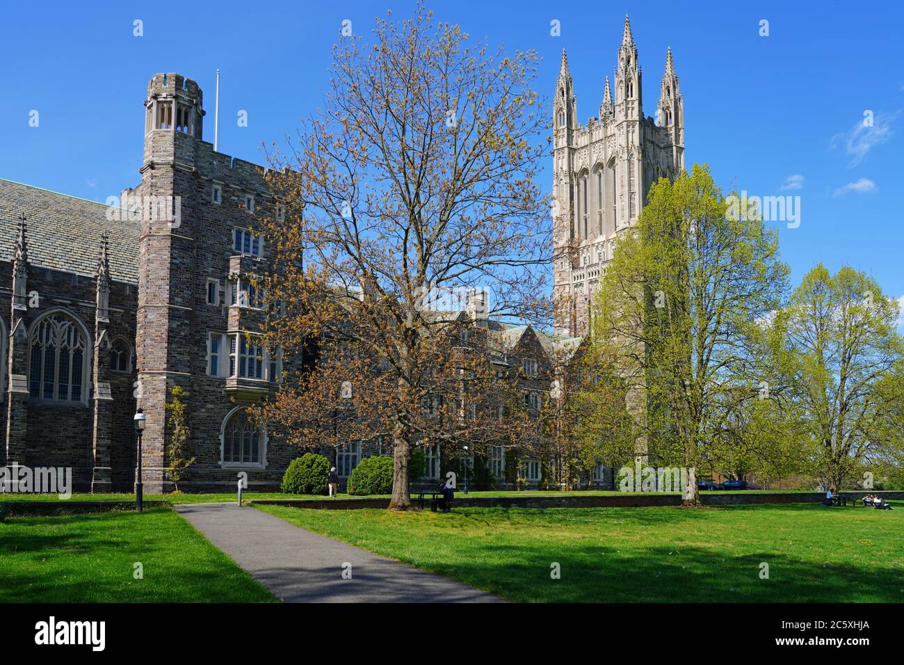 Doctoral college hi-res stock photography and images - Alamy