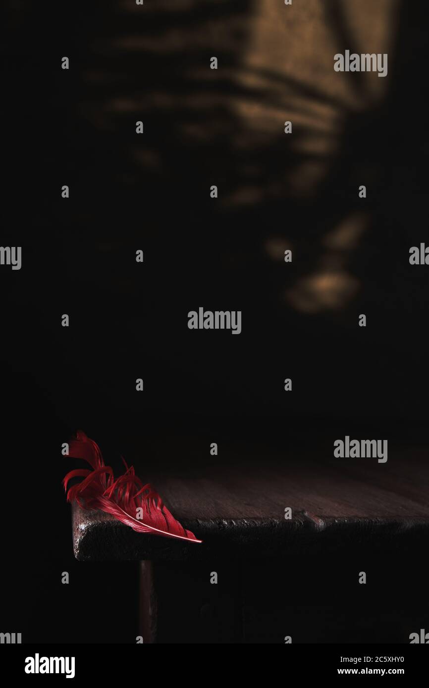 Low key still life hi-res stock photography and images - Alamy