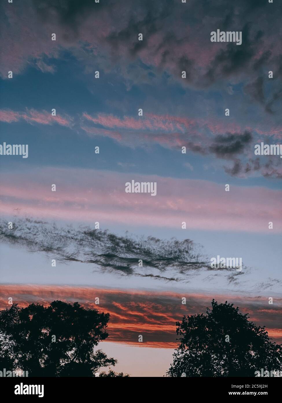 Sunsettree hi-res stock photography and images - Alamy