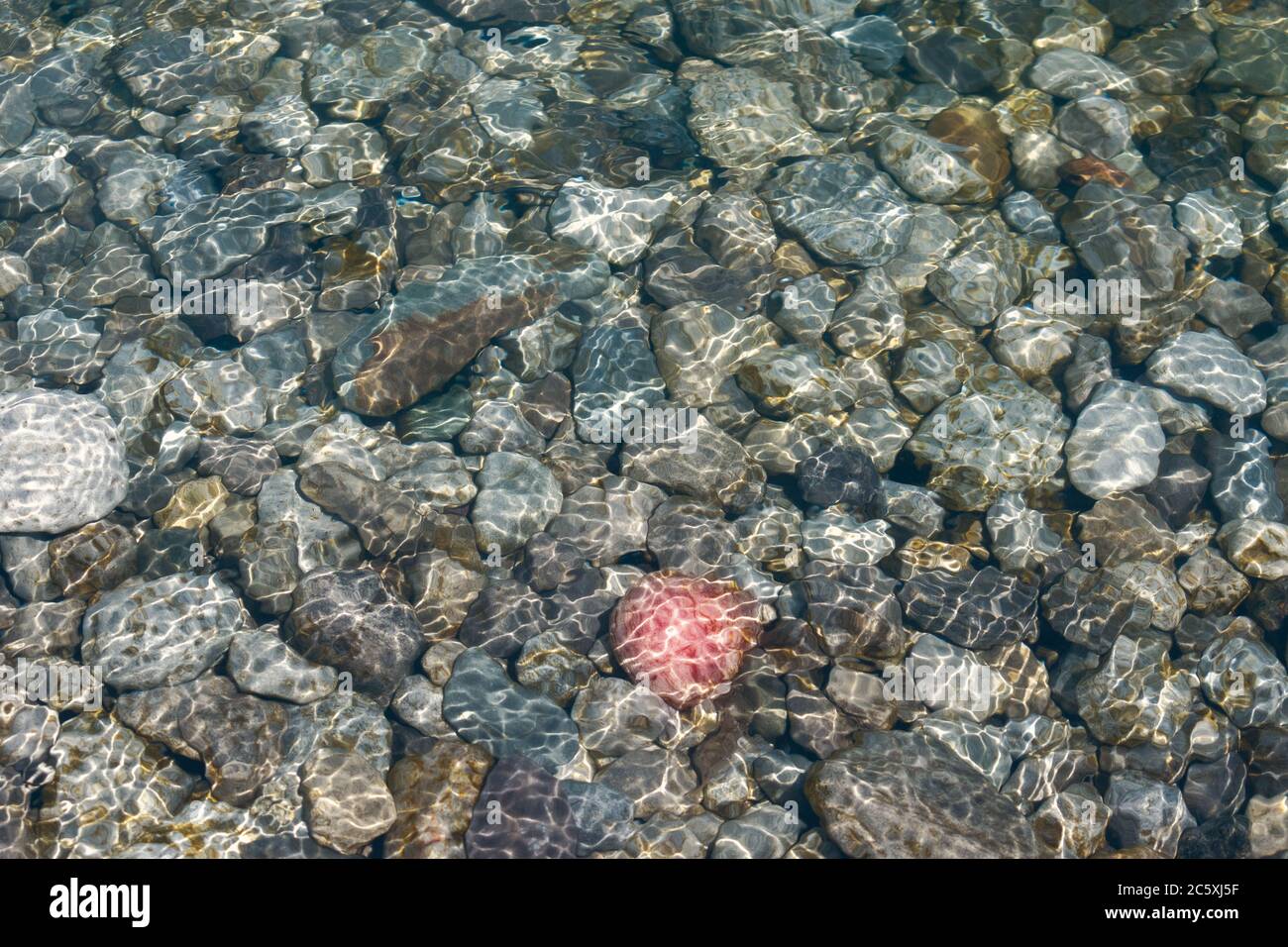 Riverbed underwater hi-res stock photography and images - Alamy