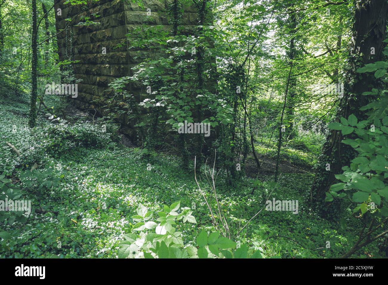 Stone building in the woods, village of Luss Scotland Stock Photo - Alamy