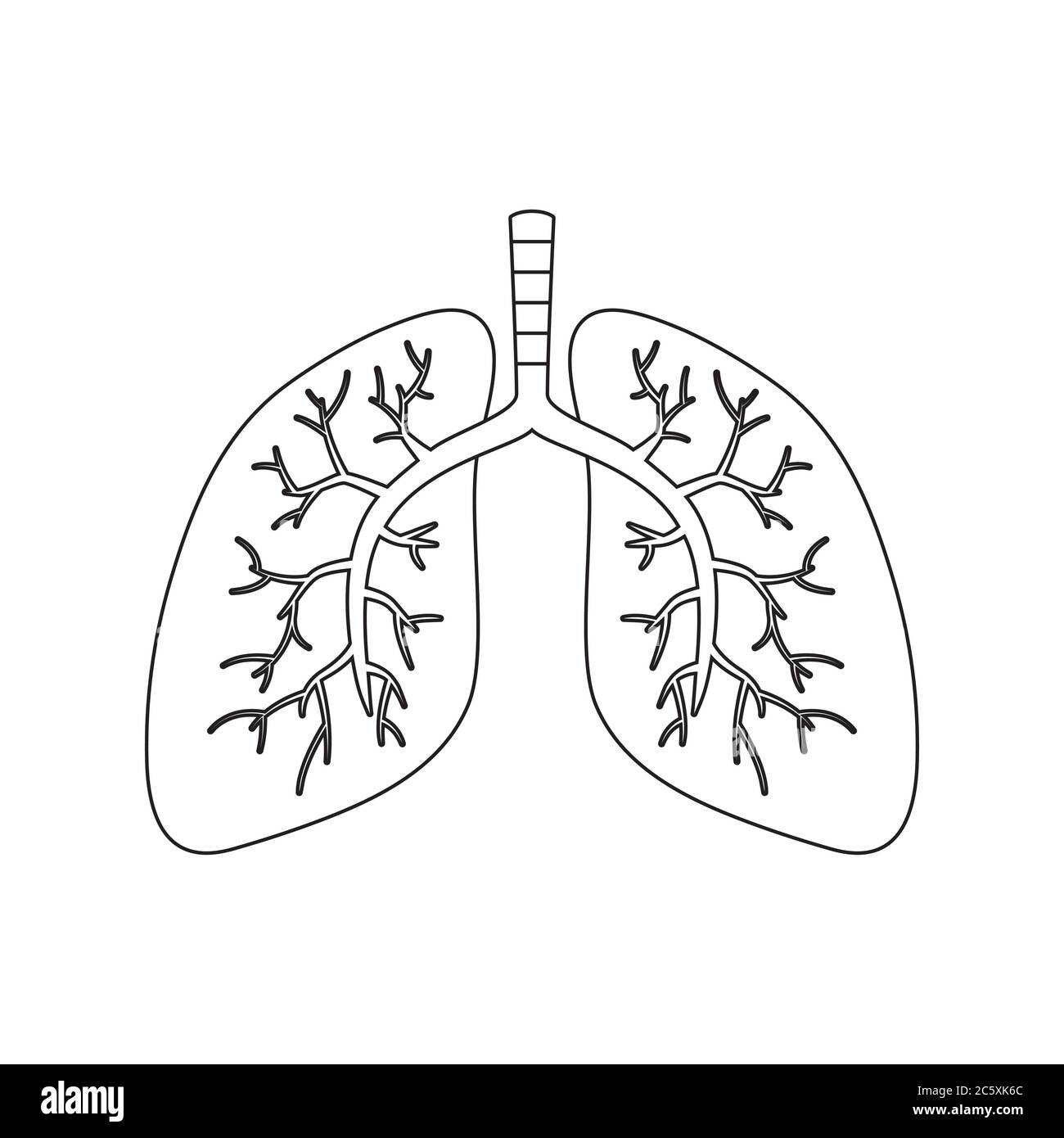 outline lungs icon vector isolated on white background Stock Vector ...