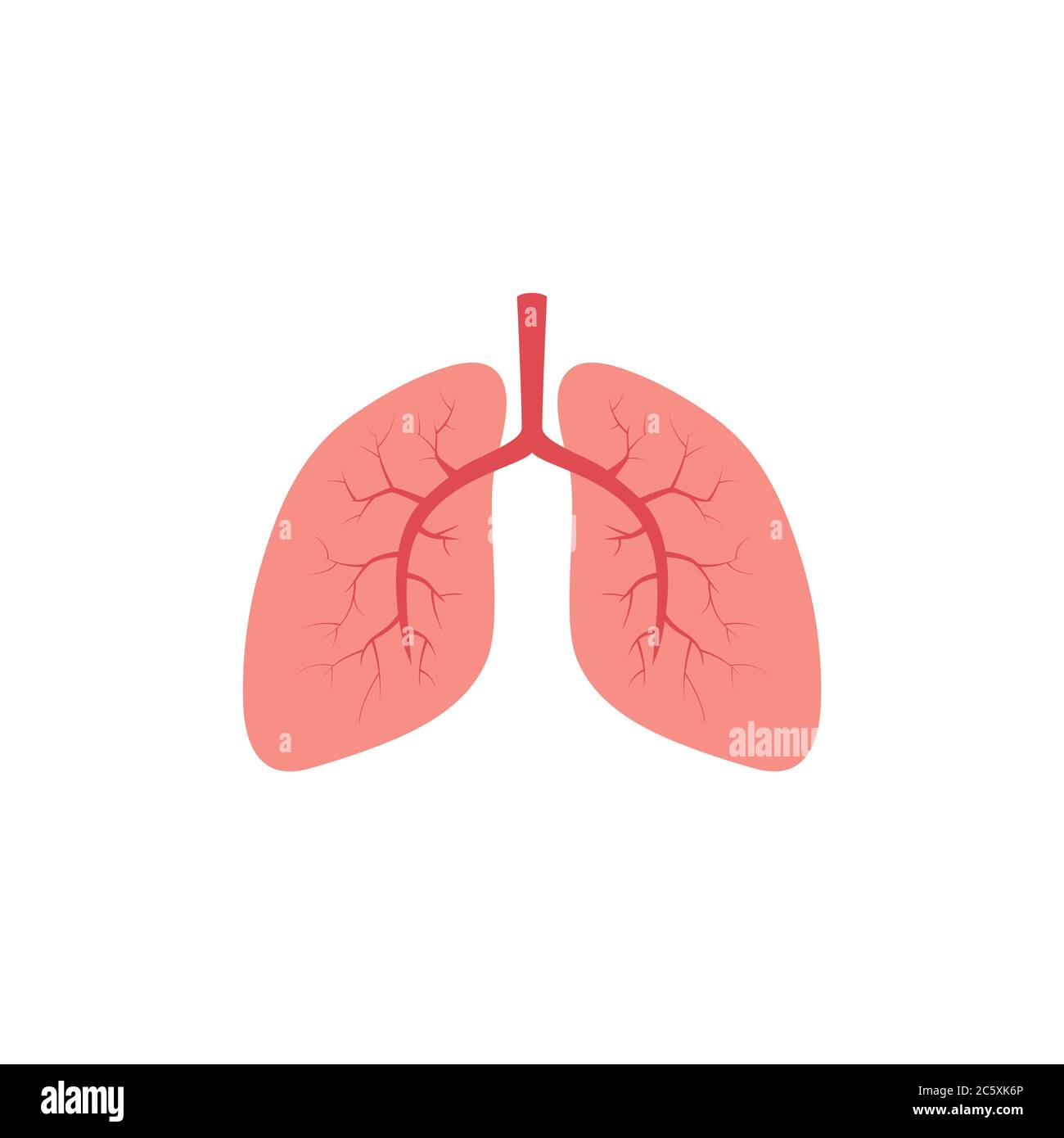 human lung design vector illustration Stock Vector Image & Art - Alamy