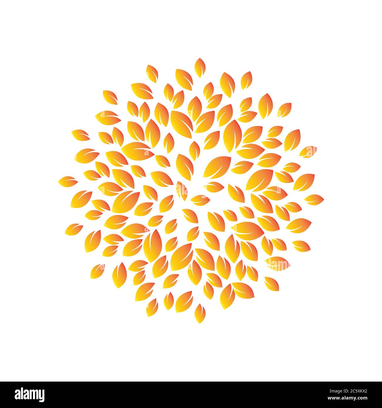 autumn, falling leaf design vector isolated on white background Stock ...