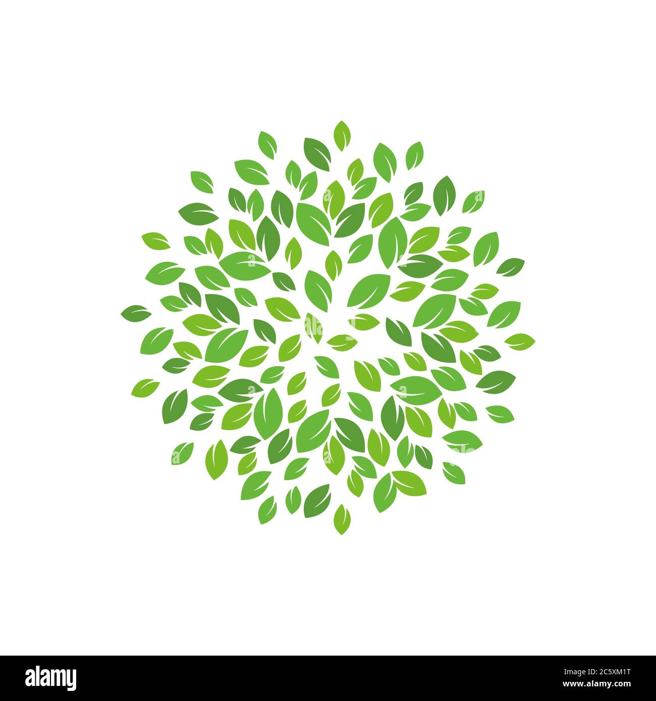 leaf leaves nature design vector illustration Stock Vector Image & Art ...