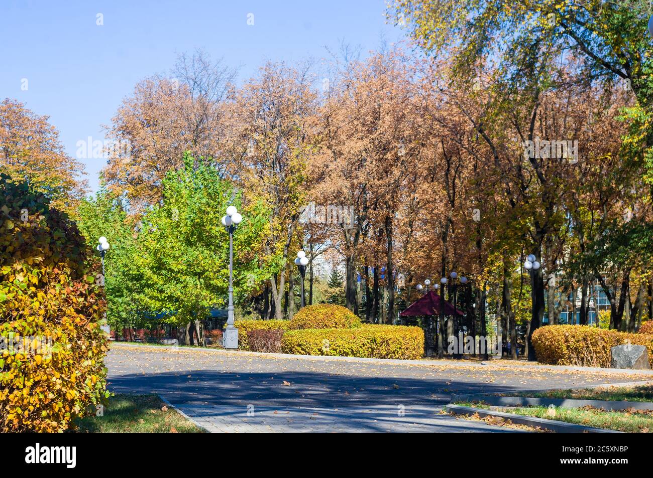 Autumn urban landscape on a Sunny day - yellow autumn trees in the Park ...