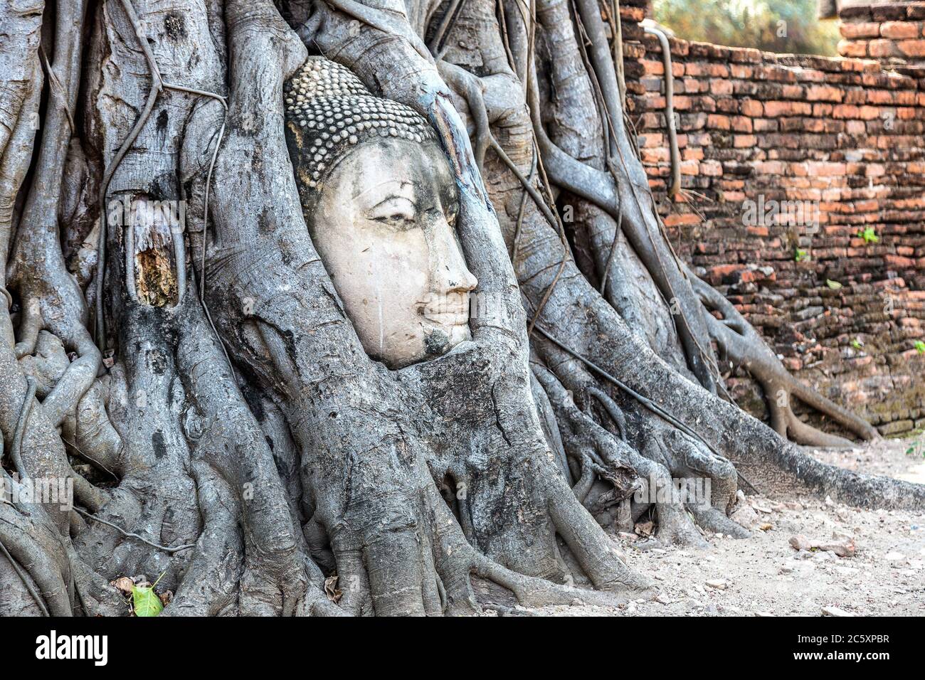 Ayutthaya Head of Buddha statue in tree roots, Wat Mahathat temple ...